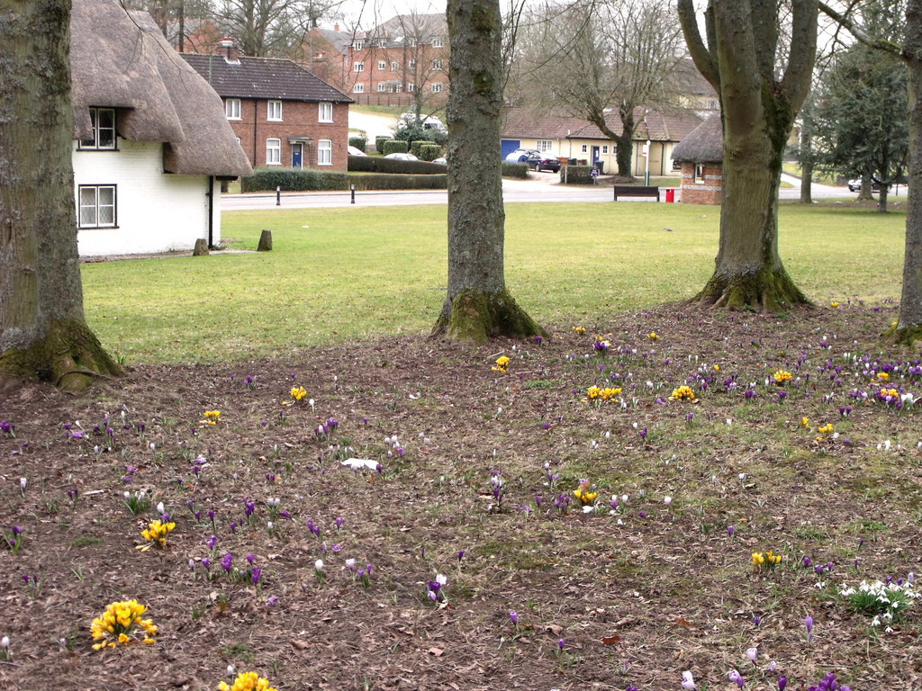 Enham - Alamein Village for Injured WWI Soldiers - Hampshire ...